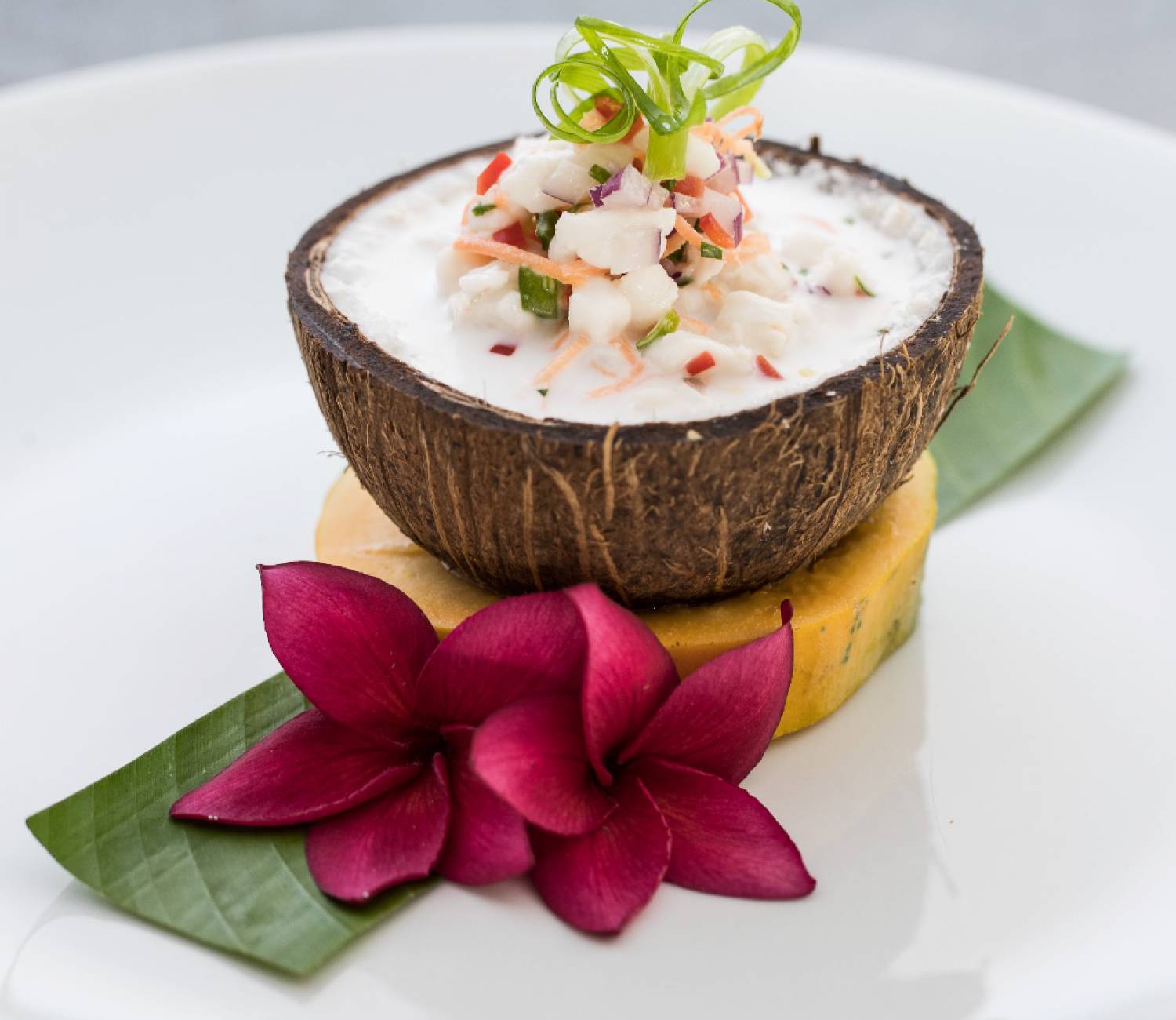 Kokomo Kokoda – News – Kokomo Private Island Fiji